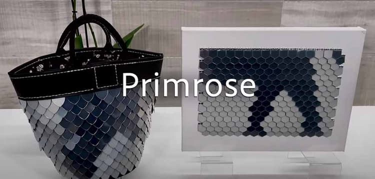 Project Primrose: Prototype and Future of Display Clothing