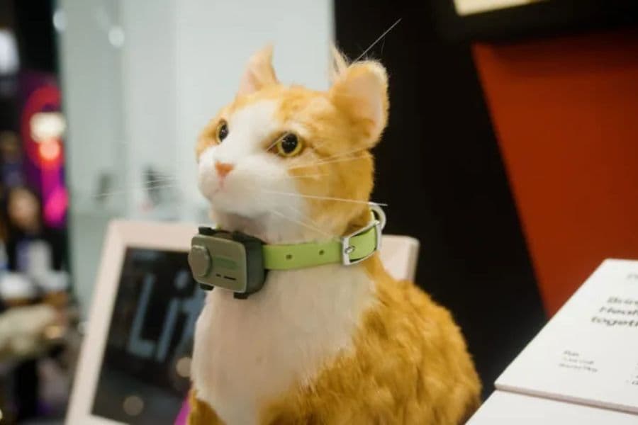 GlocalMe introduces the first smartphone for pets